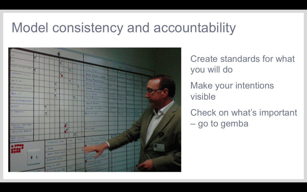 Leading Daily Improvement: Creating New Habits and Practices to Support ...