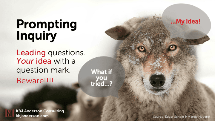 How to Ask Effective Questions - Katie Anderson